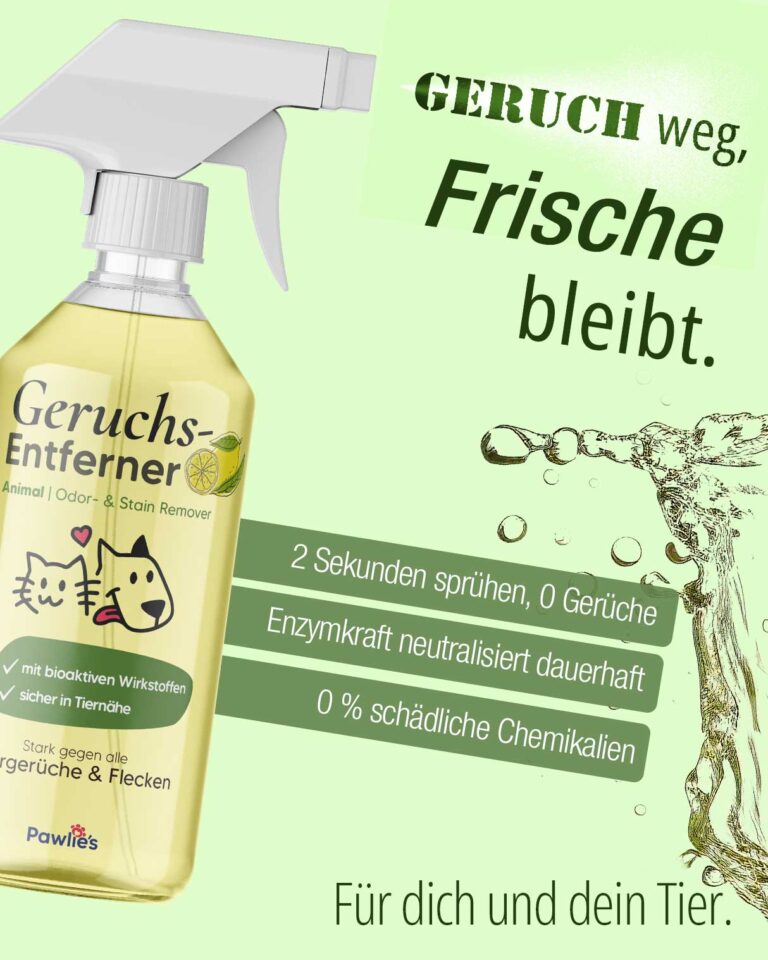 Fabelhafte Katzenurin Geruch Entfernen Bilder