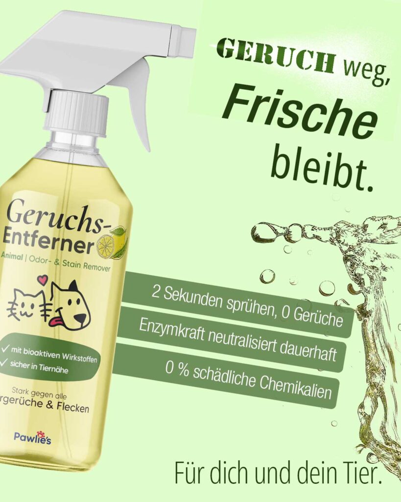 Hausmittel Gegen Katzengeruch In Der Wohnung