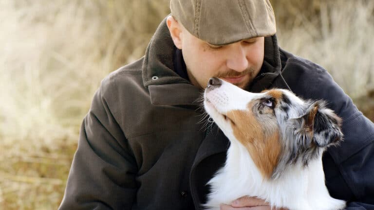 Mensch und Hund als Dreamteam: Wie du die Bindung zum Hund stärkst (5 ...